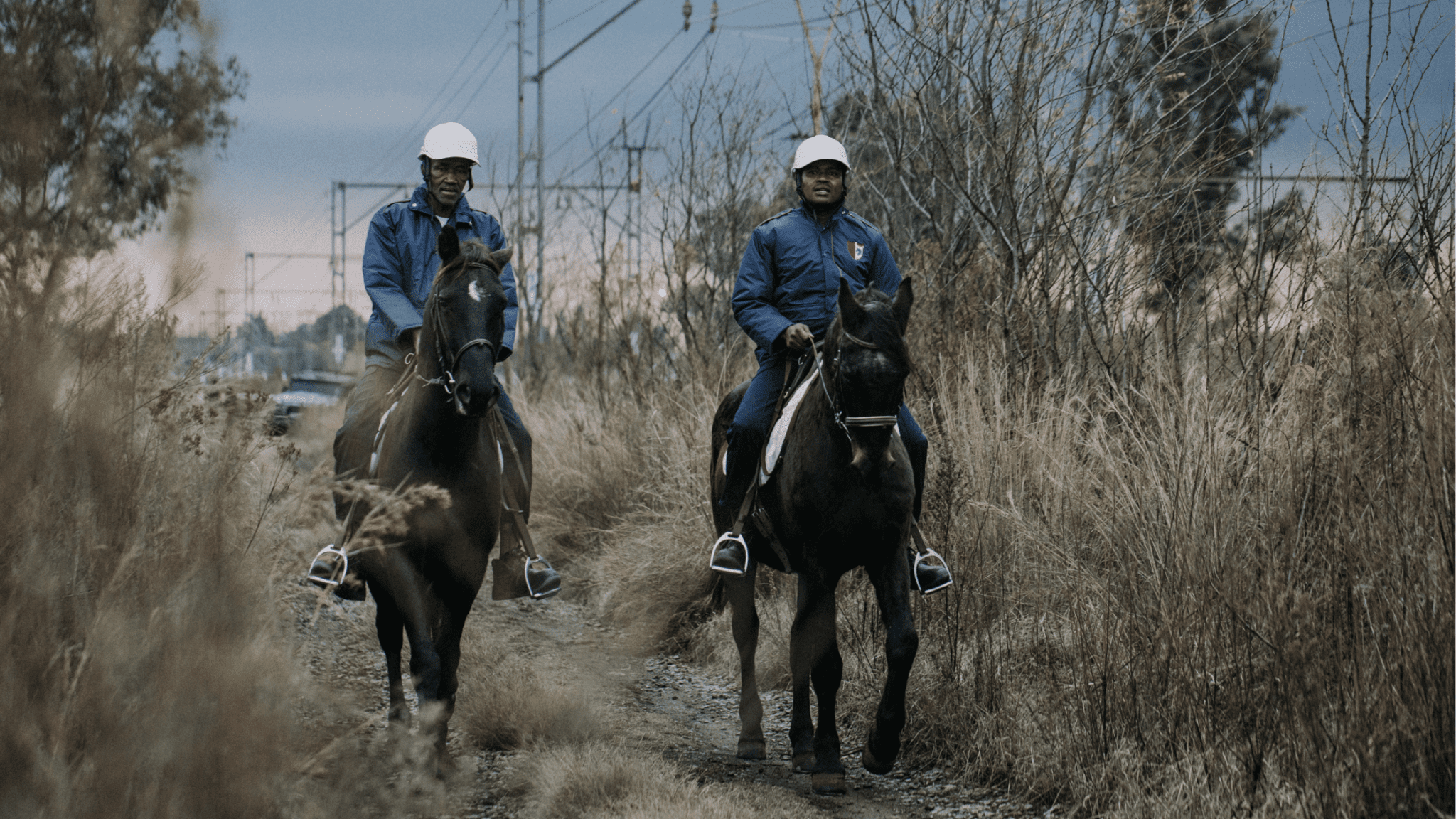 Services Animals – Afri Guard